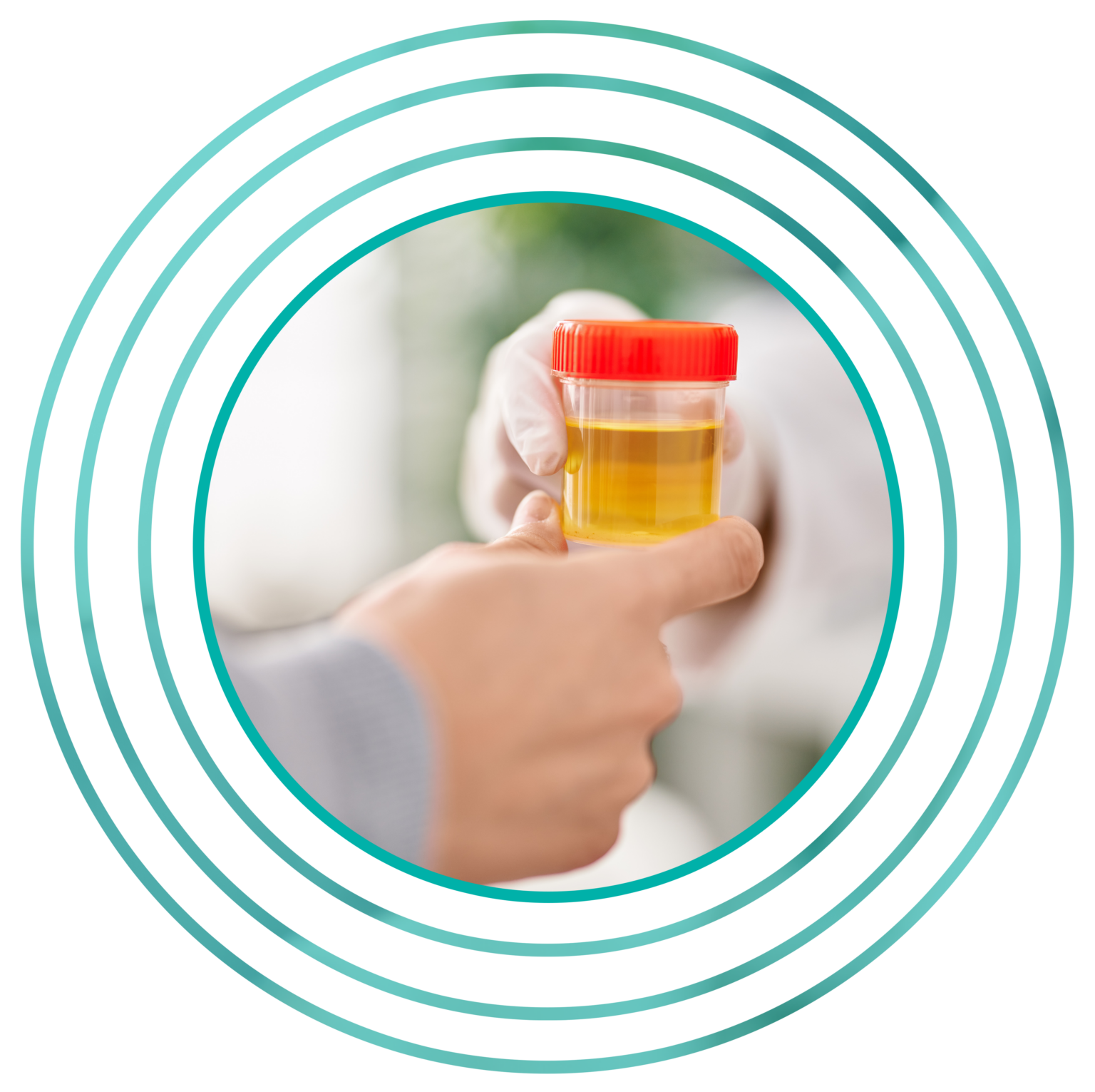 Navis Clinical Laboratories® - Urine Drug Testing